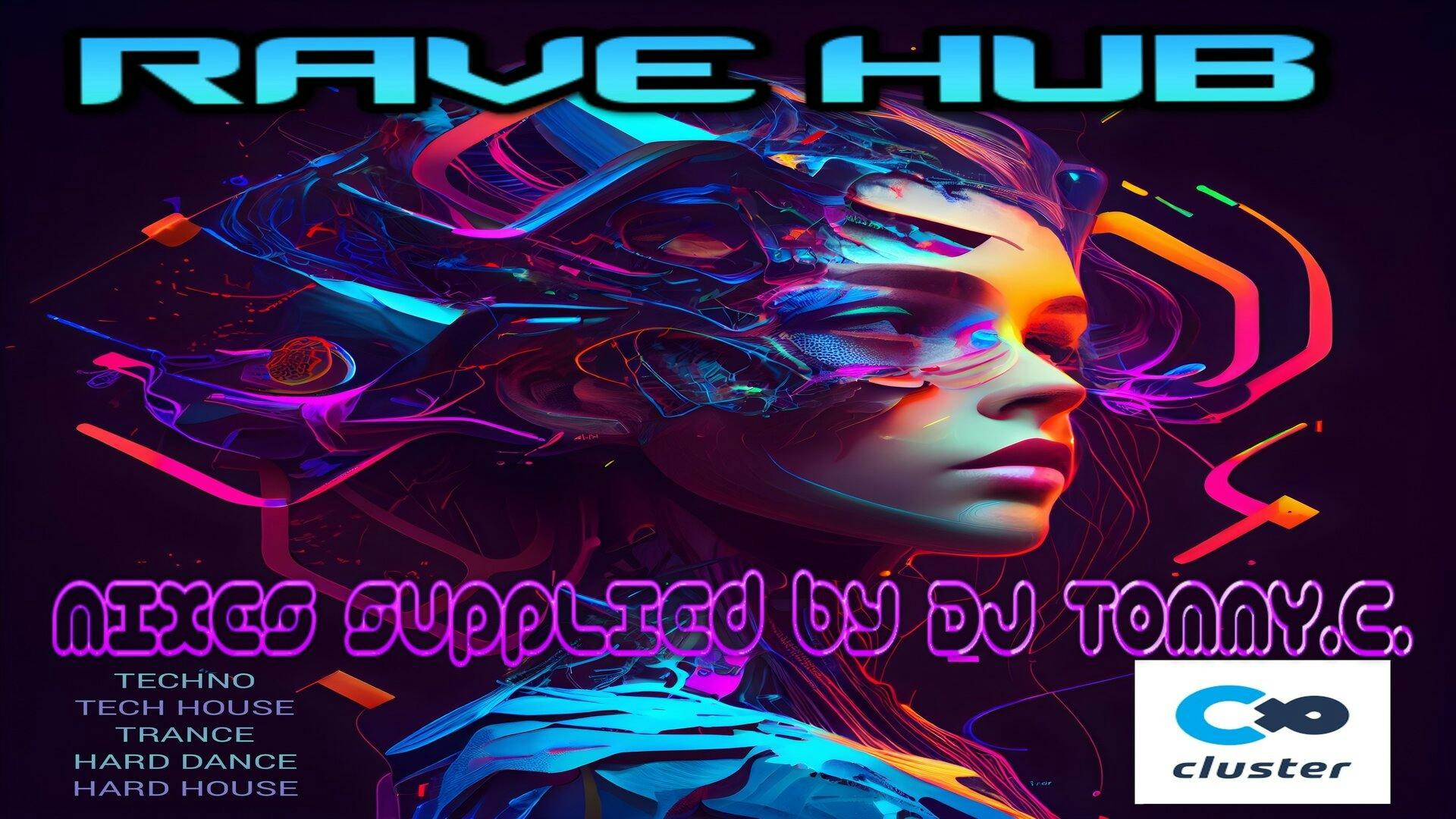 Rave Hub | メタバースプラットフォーム cluster（クラスター）