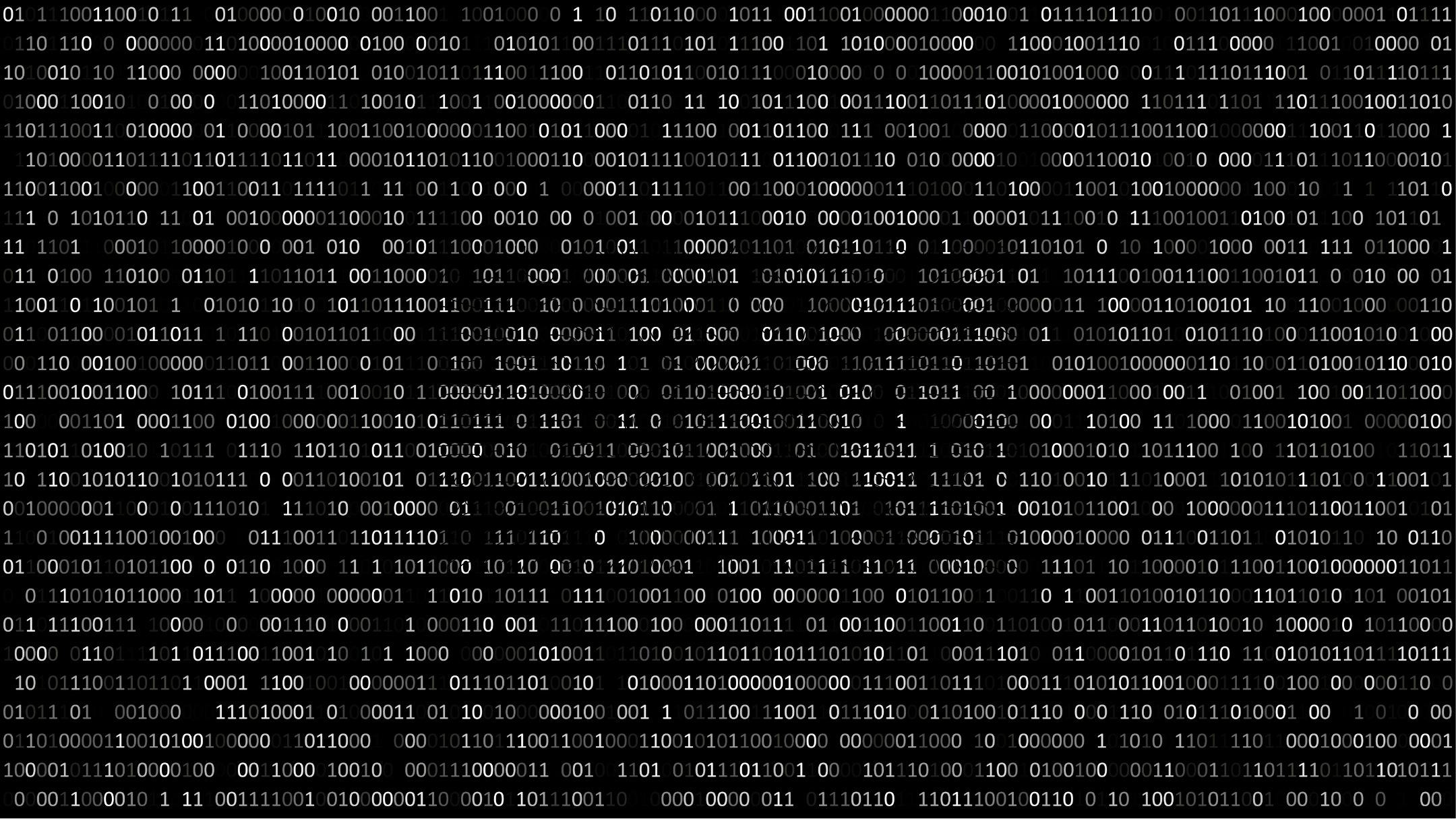 The Experiment Vol. 2 | Metaverse Platform - Cluster